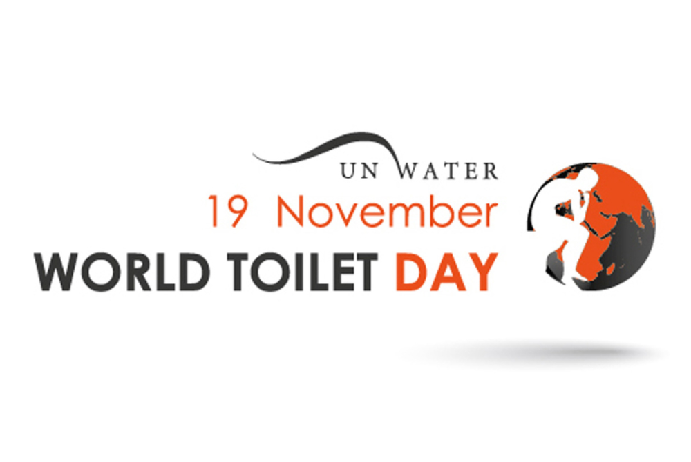Voting on World Toilet Day